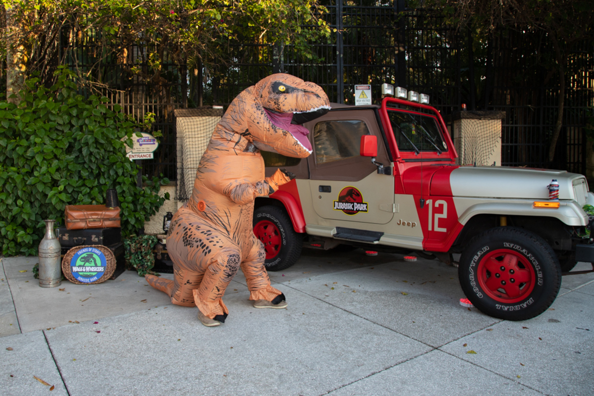 Jurassic Bark was an epic success! - Friends of Strays Cat and Dog ...