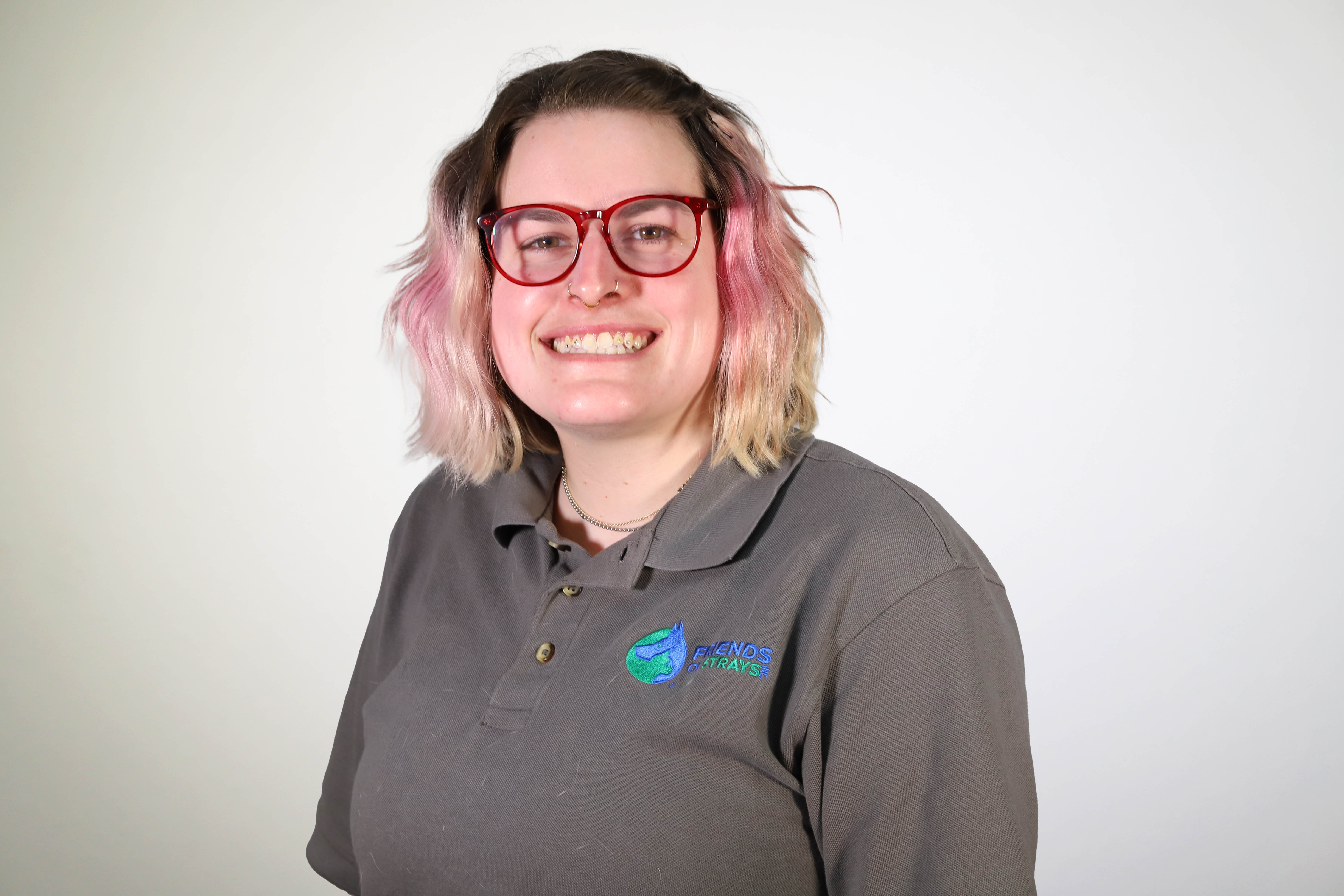 Meet the Team - Friends of Strays Cat and Dog Adoption in St ...