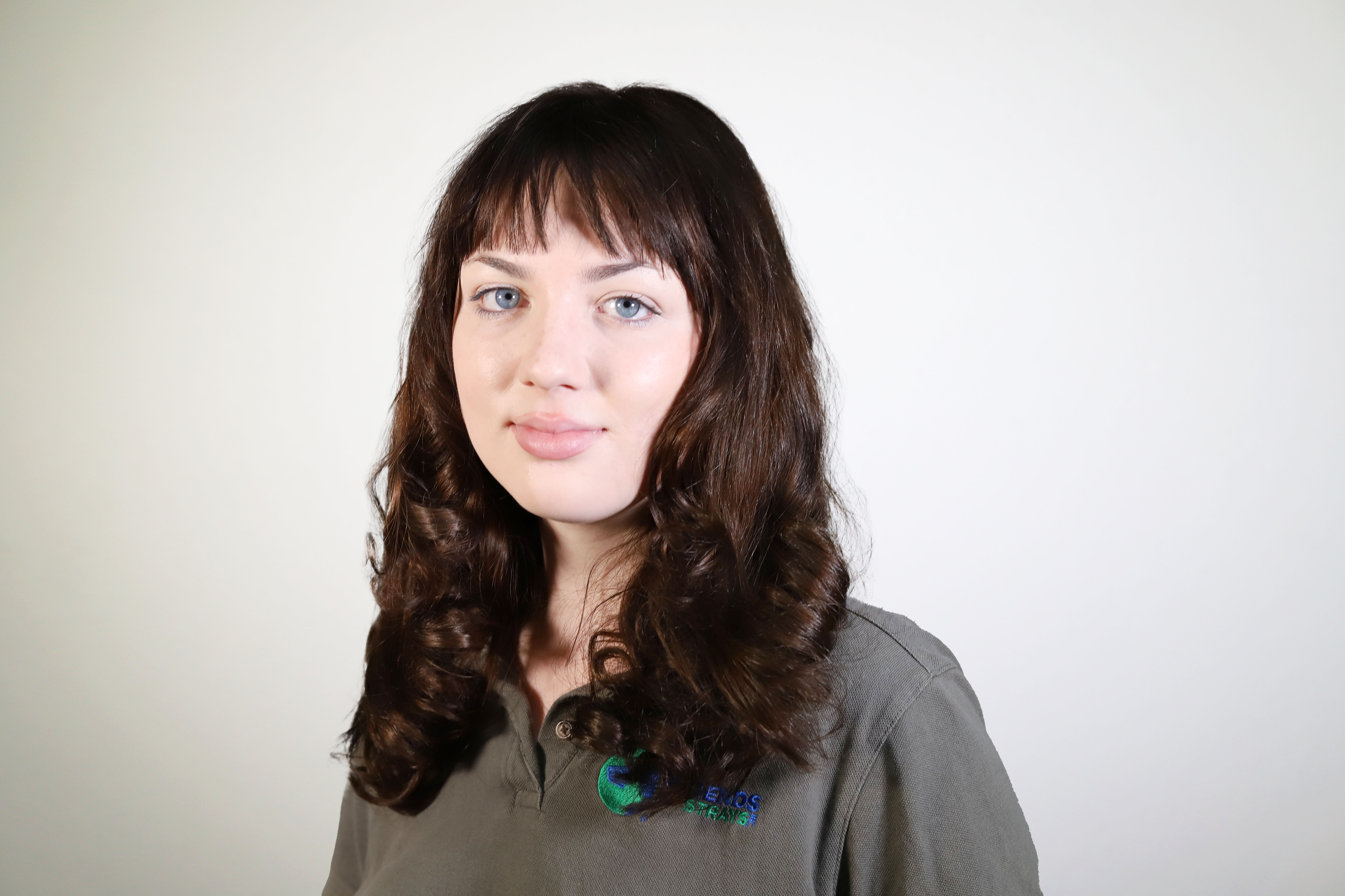 Meet the Team - Friends of Strays Cat and Dog Adoption in St ...