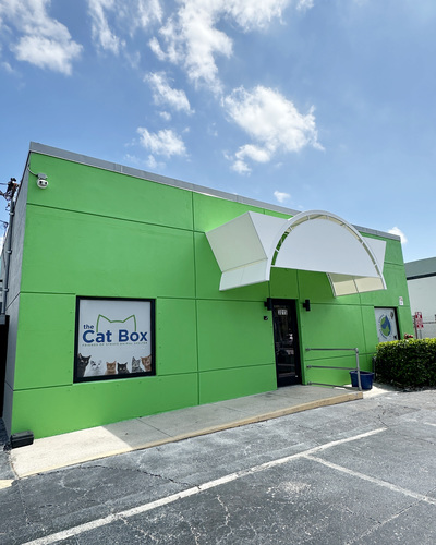 Cat Box Adoption Center Grand Opening - Friends of Strays Cat and Dog ...