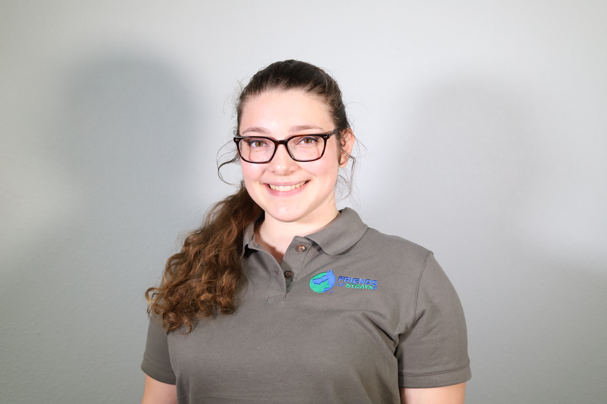 Meet the Team - Friends of Strays Cat and Dog Adoption in St ...